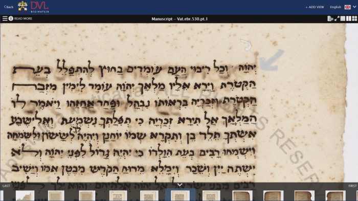 Almighty Yehowah Our Creator and Father - HubPages