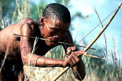 Extermination of the Bushmen - HubPages