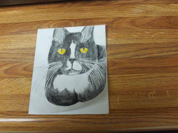 How To Make A Homemade Cat Card - HubPages
