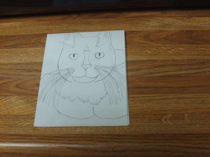 How To Make A Homemade Cat Card - HubPages