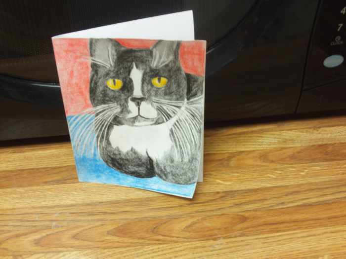 How To Make A Homemade Cat Card - HubPages