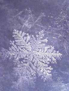 Types Of Snowflakes and Their Different Patterns - HubPages