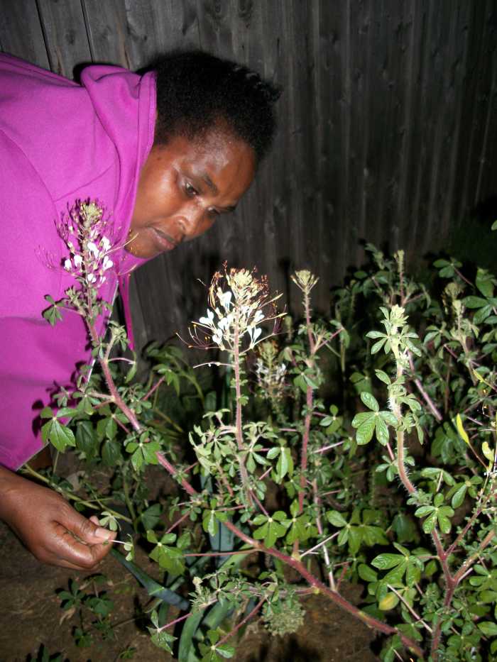 The Kalenjin's Love for 'Isageek' - HubPages