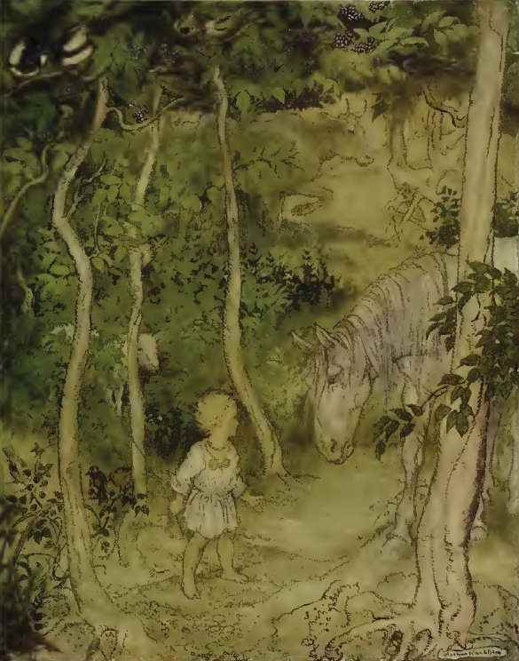 Arthur Rackham: his life and work in illustration - HubPages