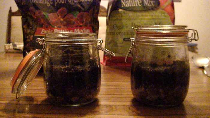 Study the Water Cycle with Terrariums: Lesson Plan for Middle School ...