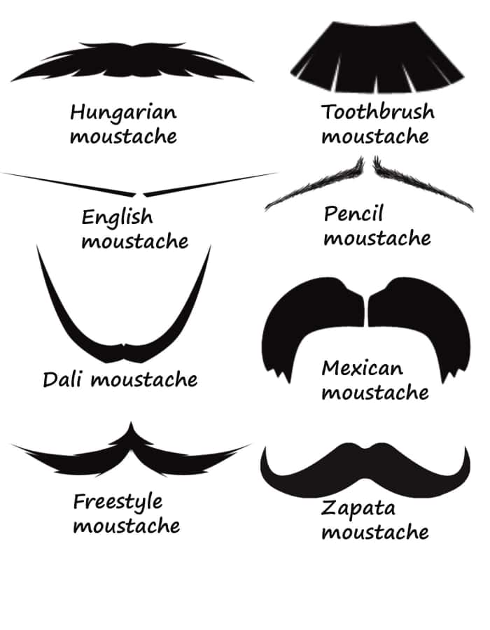 Why Men Have Mustache? - HubPages