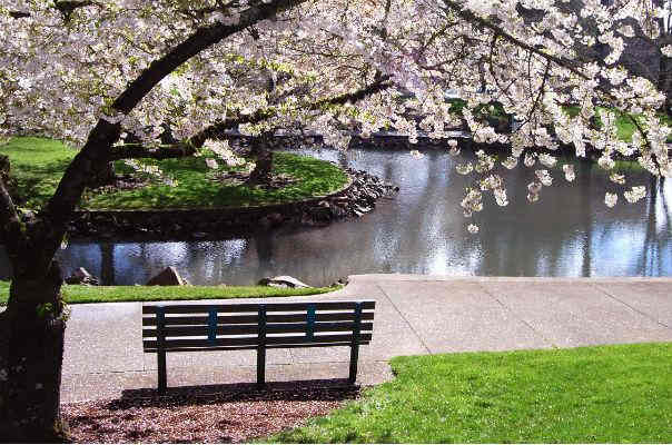 SPRING PICTURES: 200 Best Pictures, Free Images and Big Photos - HubPages