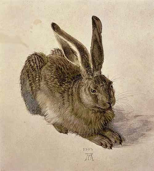 Albrecht Durer, a master Northern Renaissance artist - HubPages
