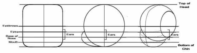 Portrait Drawing for the Ultimate Beginner: The Face - HubPages