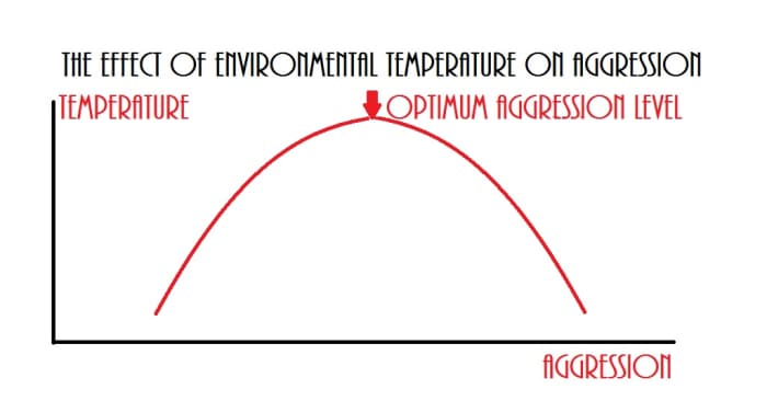 The Effects Of Aggression On Sports Performance - HubPages