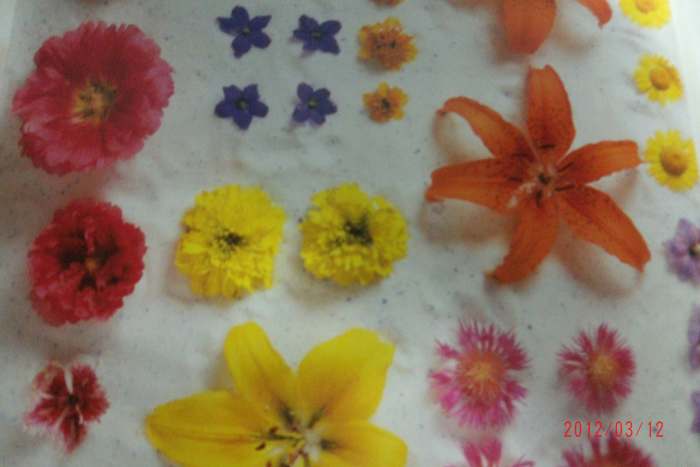 How to Preserve Flowers (6 Ways of Drying Flowers) - HubPages