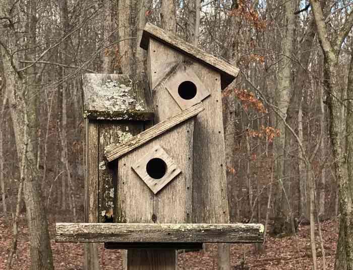 DIY Birdhouse Plans: Build an Easy Multi-Bird Family Condo - HubPages
