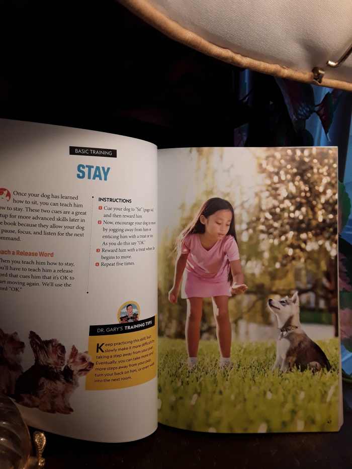 Dog and Cat Training Guides from National Geographic Kids Books - HubPages