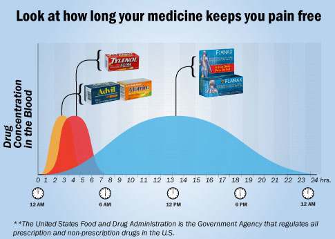 Understanding the Half Life of a Drug: Definition, Types, Formula, and ...