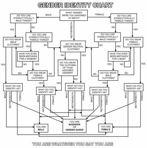 What is Your Gender Identity? - HubPages