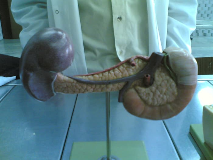 Bariatric Surgery Unstable Blood Sugar After Gastric Bypass HubPages bariatric-surgery-unstable-blood-sugar-after-gastric-bypass-hubpages