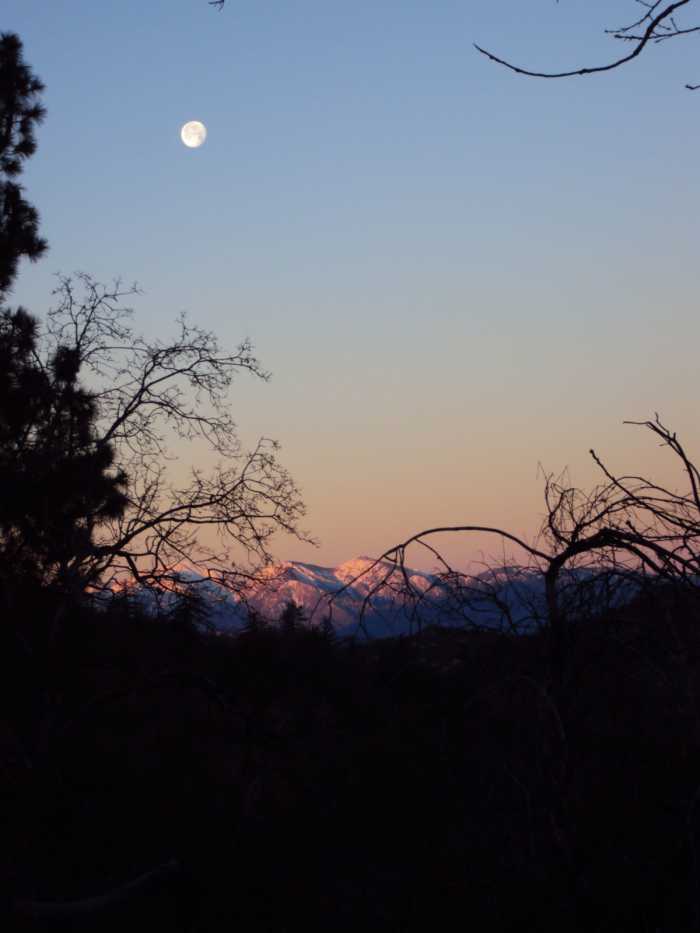 How to Draw a Forest Scene at Sunset - HubPages