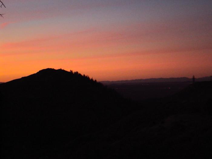 How to Draw a Forest Scene at Sunset - HubPages