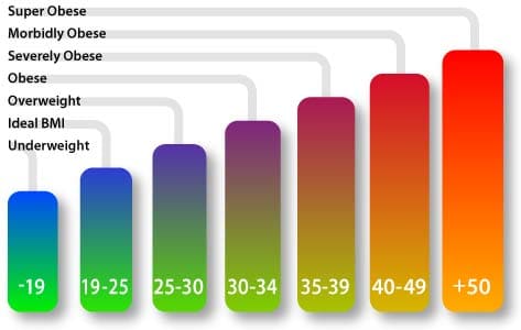 Risk of Obesity Charts and Posters - HubPages