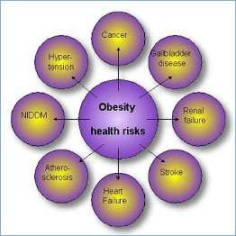 Risk of Obesity Charts and Posters - HubPages