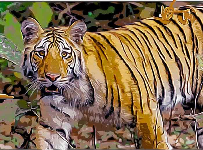 Tyger- an Analysis - HubPages