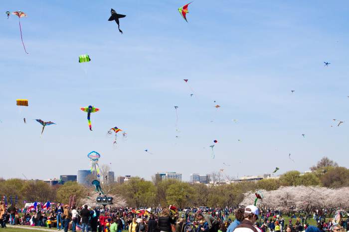 Kite Festivals Around the World - HubPages