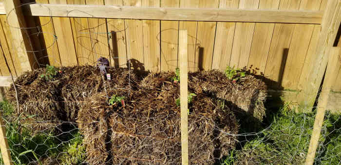 How to Garden in Small Spaces Using Hay Bales - HubPages