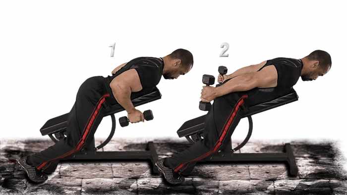 The Best Science-Based Full-Body Workout for Muscle Growth (Part A) - HubPages