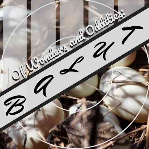 Balut: A Grotesque Allure for Foodies - HubPages