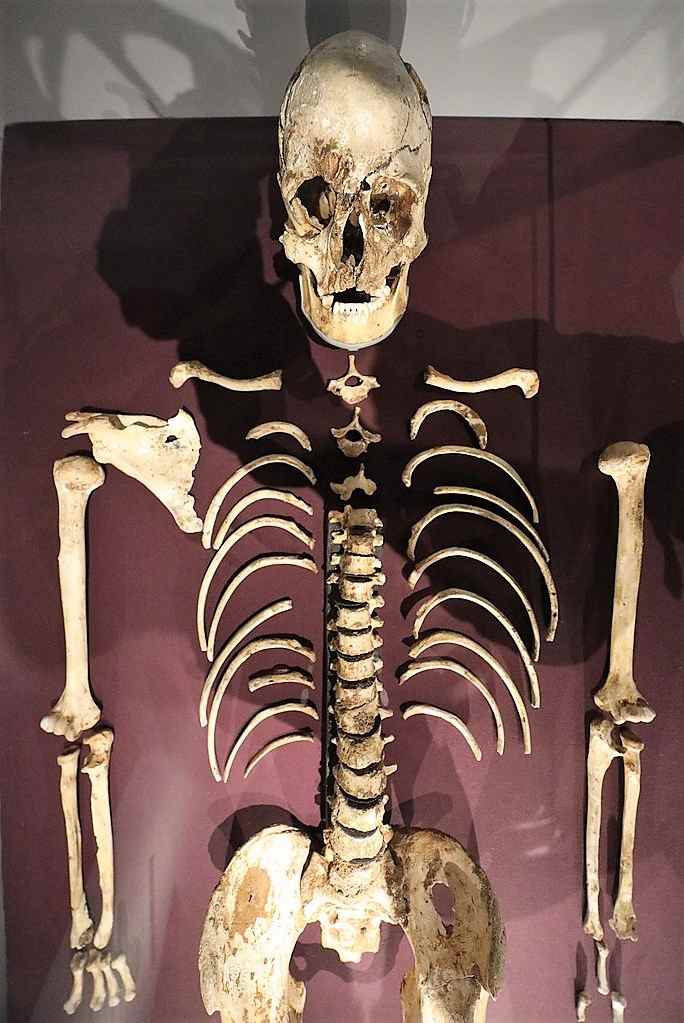 Cheddar Cheese, Gorge, and Caves and an Ancient Human - WanderWisdom