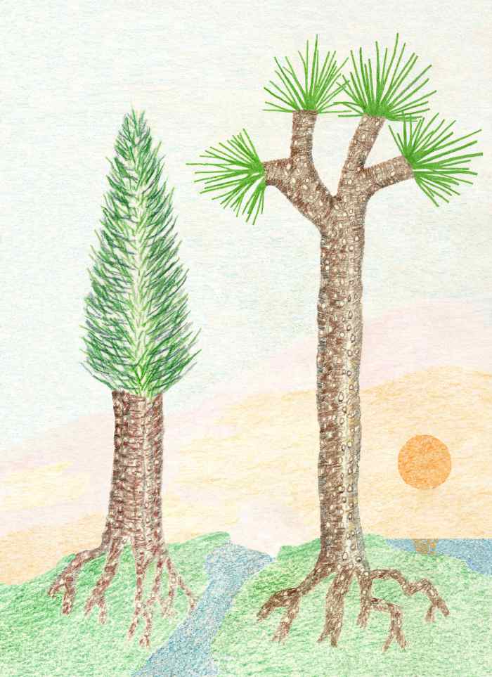 The Bravest Little Millipede's Historical Landing - HubPages