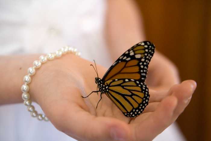 The Master and the Doe - HubPages