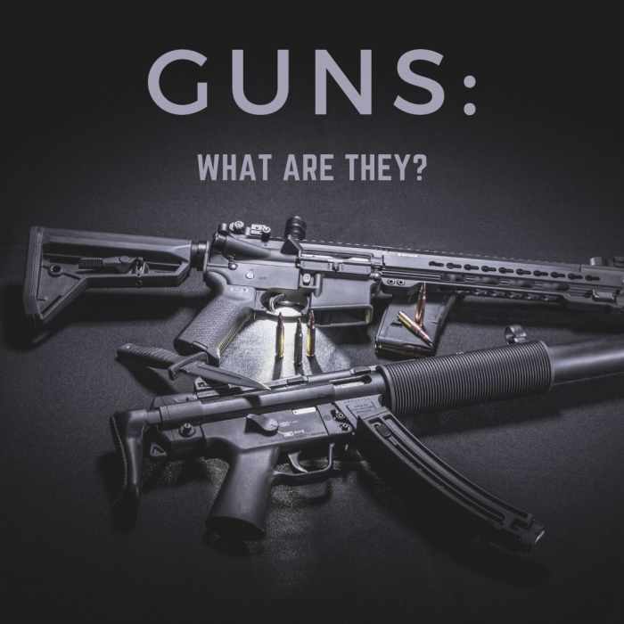 What Is a Gun? - HubPages