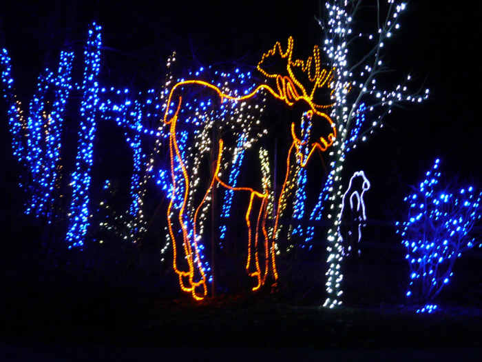 Winter Holidays at Wild Lights With the Columbus Zoo - HubPages