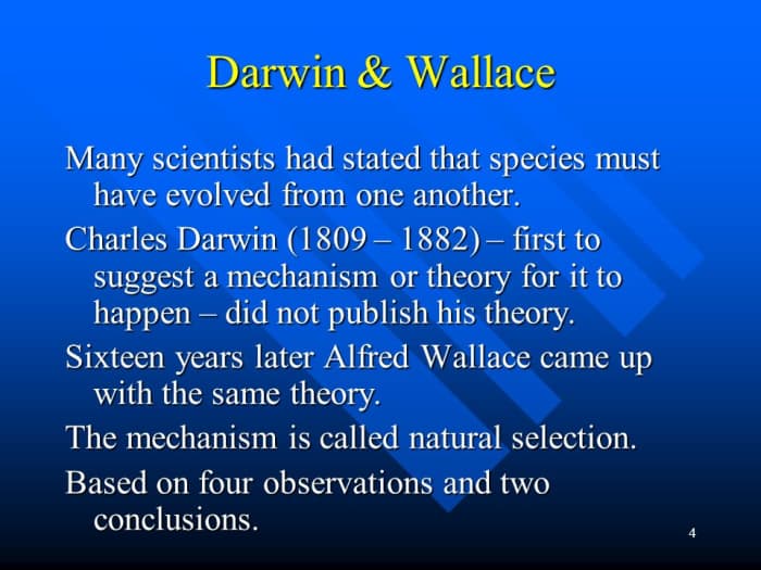 Darwin and Wallace: And The Theory of Evolution - HubPages