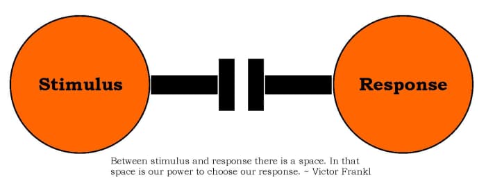 "Stimulus" - A Check for Balanced Response - HubPages