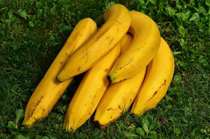 How to Preserve Bananas: 5 Amazing Tricks That Work Each Time - HubPages