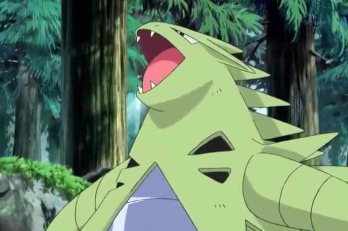 Top 10 Special Tanks in "Pokémon" - HubPages
