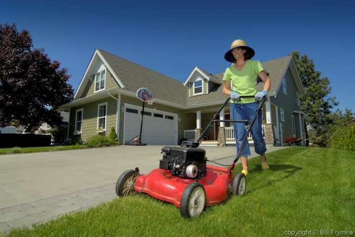 9 Tips to Mow Your Lawn To Perfection - HubPages