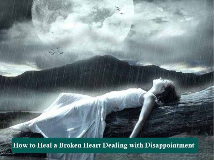 Where Do Broken Hearts Go? Healing and Hope Dealing with Disappointment ...