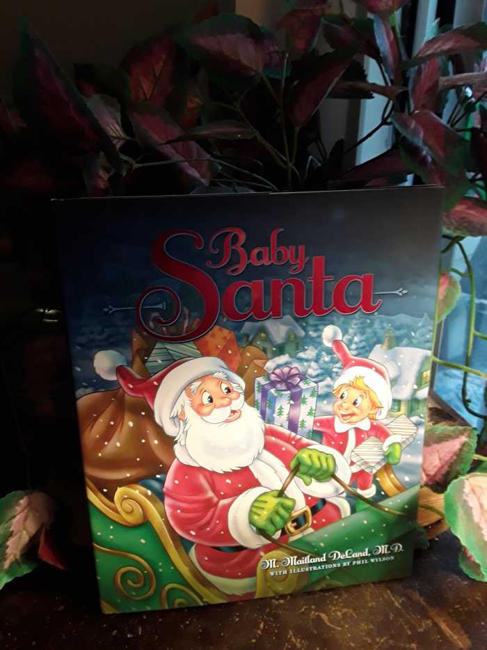Baby Santa and Christmas Adventures in Delightful Collection of Holiday ...