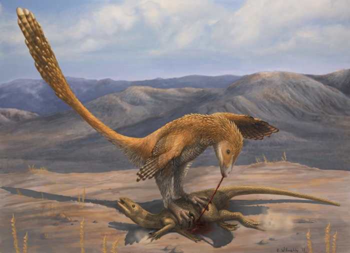 How Raptors Really Used Their Claws - HubPages