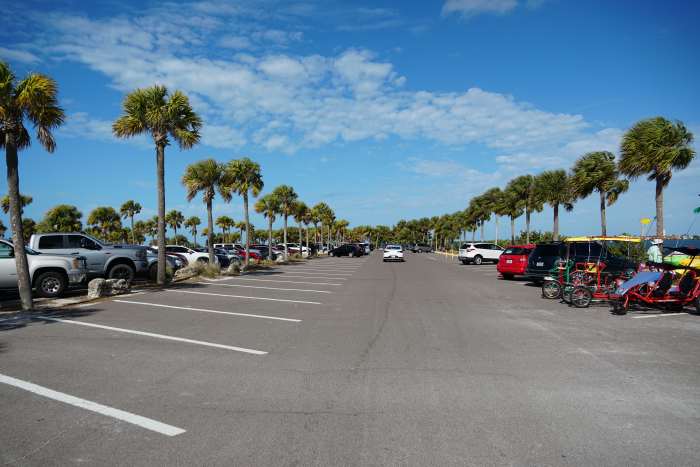 Fred Howard Park: Hidden Gem of Florida’s Gulf Coast - HubPages