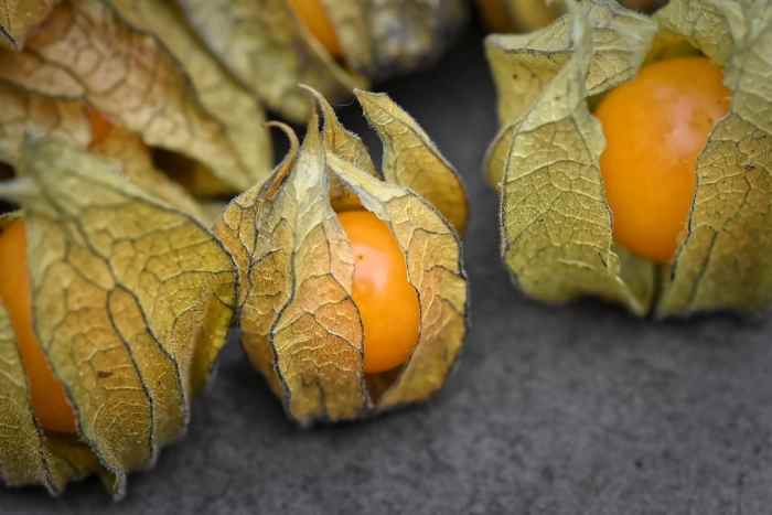 The Thing About Cape Gooseberries - HubPages