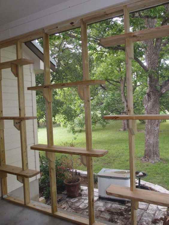 30+ DIY Catio Ideas That Are Totally Pawsome - HubPages