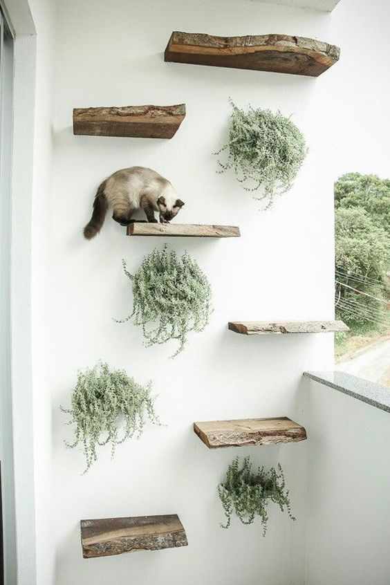 30+ DIY Catio Ideas That Are Totally Pawsome - HubPages