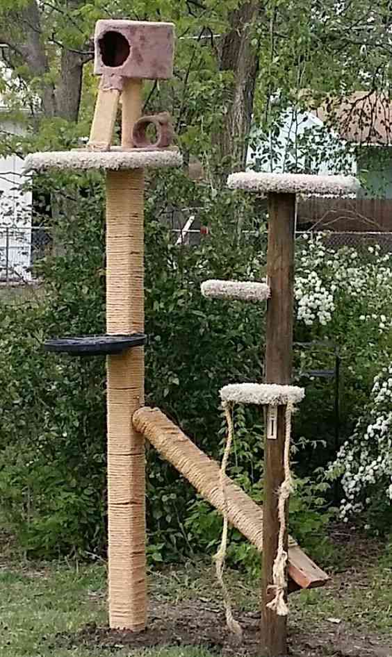 30+ DIY Catio Ideas That Are Totally Pawsome - HubPages