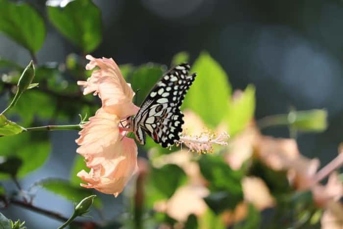 Amazing Incident of My Life - HubPages