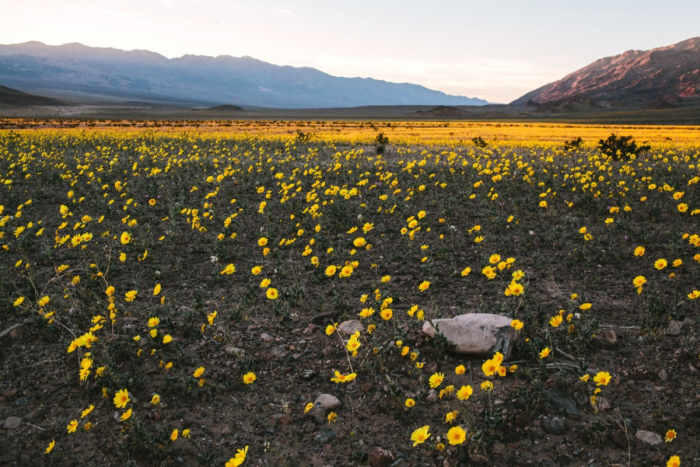The Wonders of Death Valley - HubPages