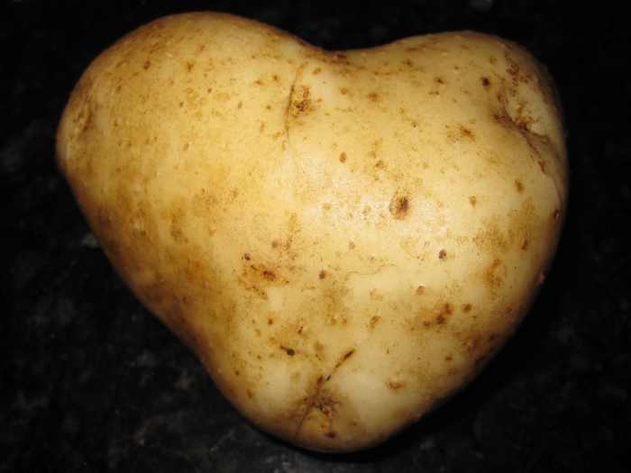 Celebrate Potato Lovers Month with Fun Facts, Tips and Recipes - HubPages